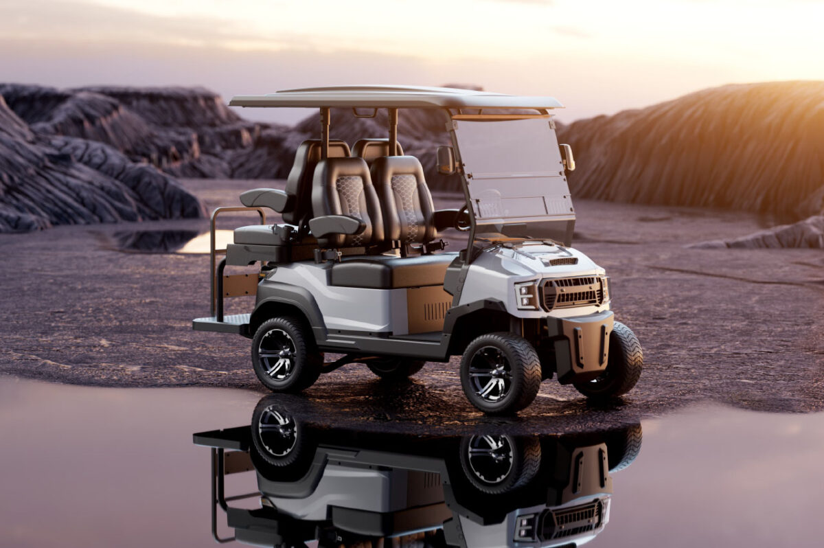 Buzz G2 Golf Cart – Black / Grey – Buzz Carts